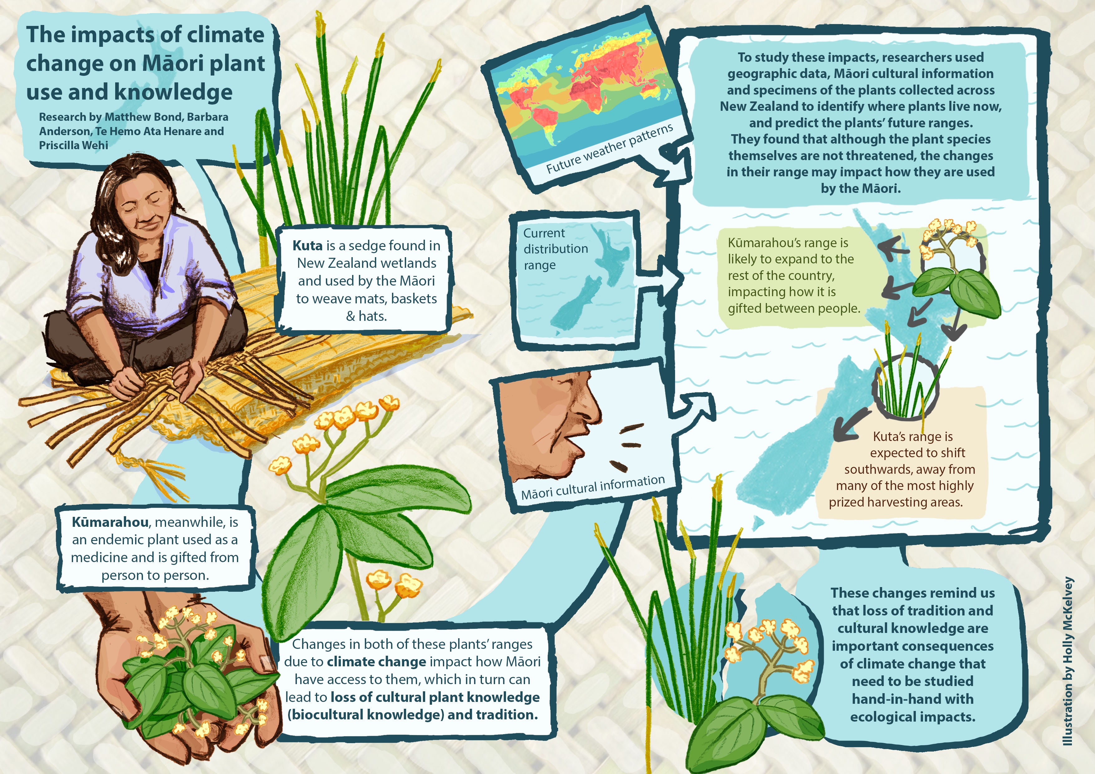 Climate change threatens Māori plant use and knowledge – infographic ...