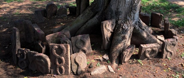 Plain language summary: Sacred groves as cultural safe havens for ...