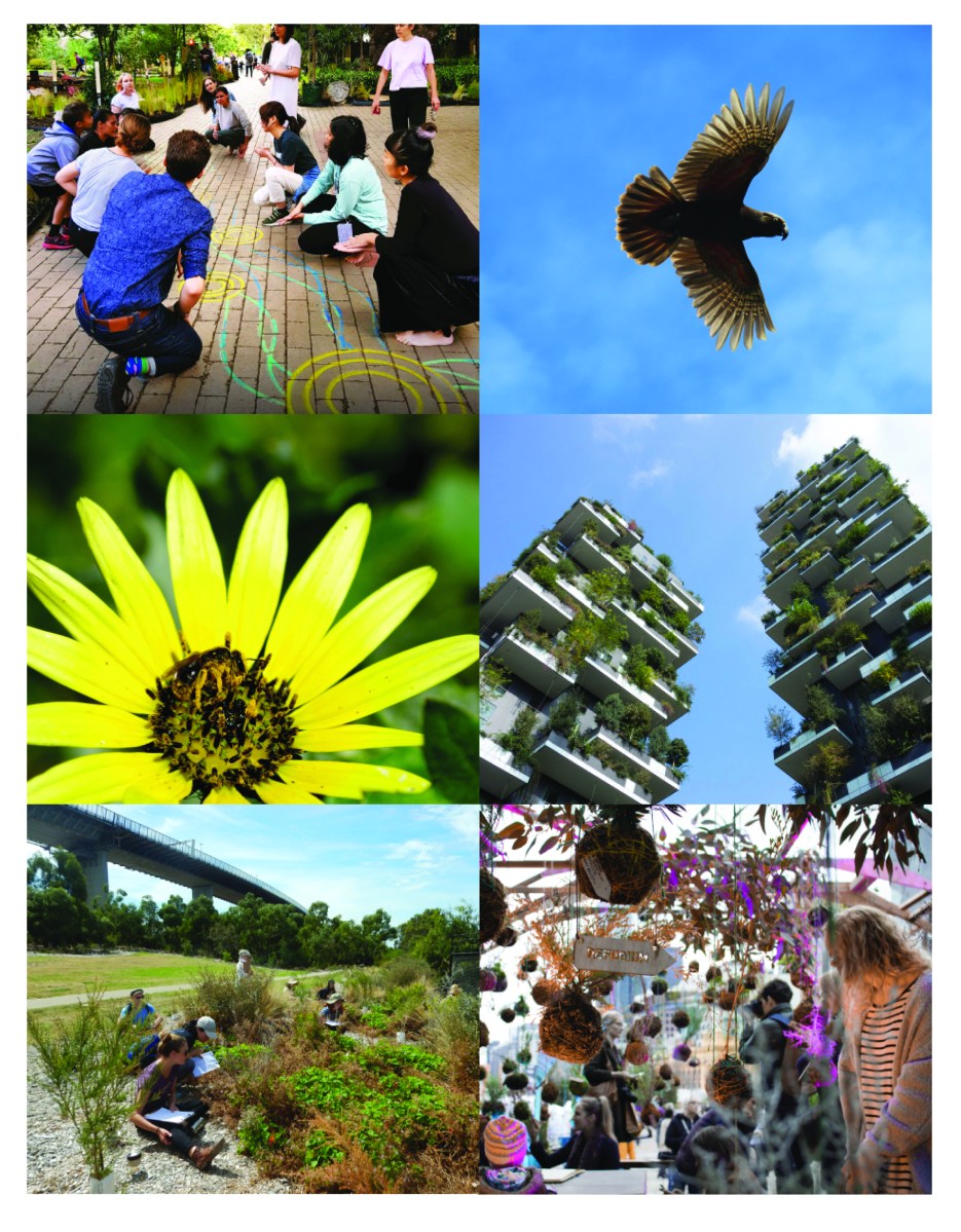 Plain language summary: Bringing nature back into cities – Relational Thinking