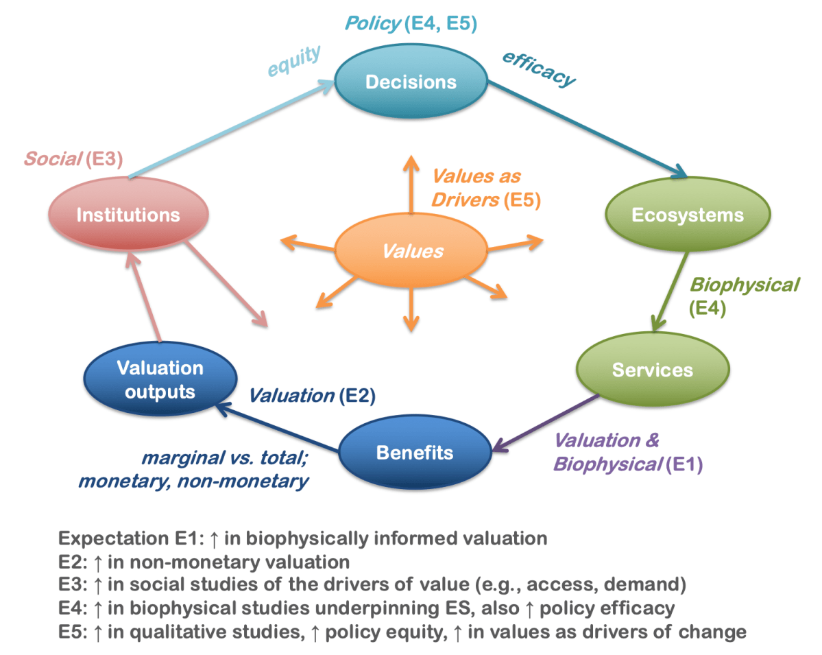 Plain language summary: Research on nature’s benefits matures: more social and policy research ...