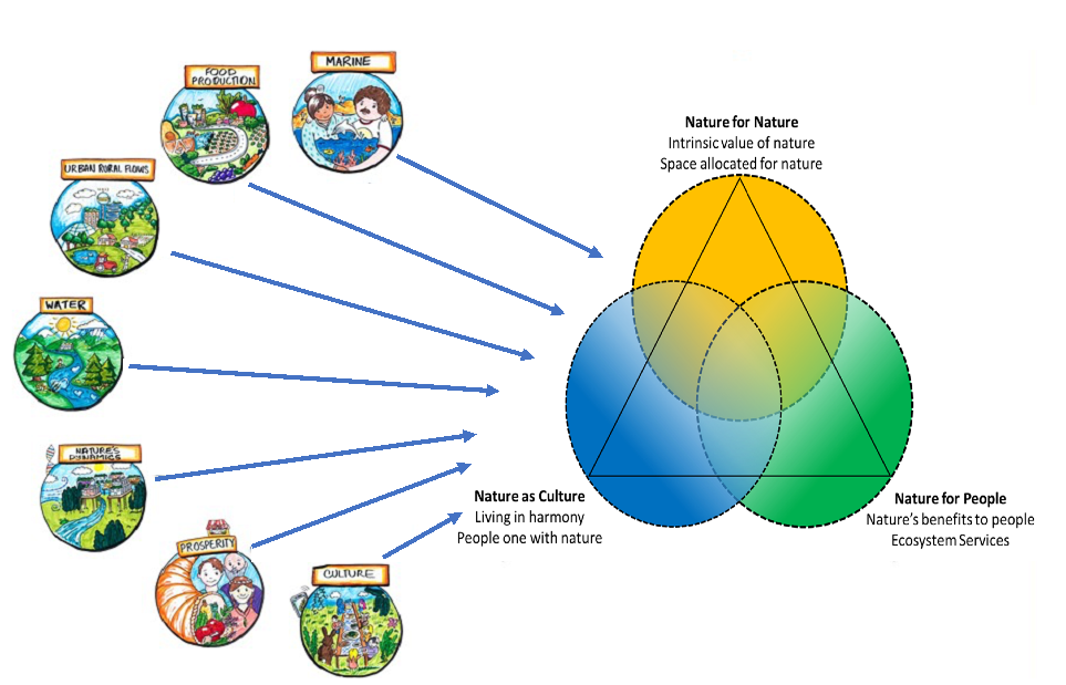 Plain Language Summary Creating Desirable Futures For Nature The Nature Futures Framework