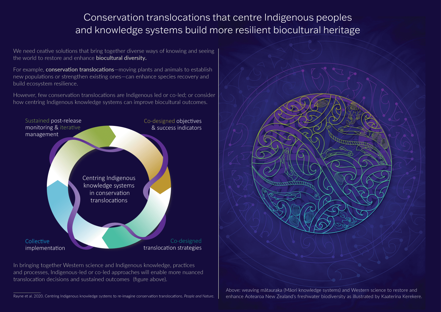 Conservation translocations that centre Indigenous peoples and ...