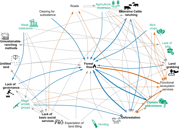 Making Mind Maps in the Amazon – Relational Thinking