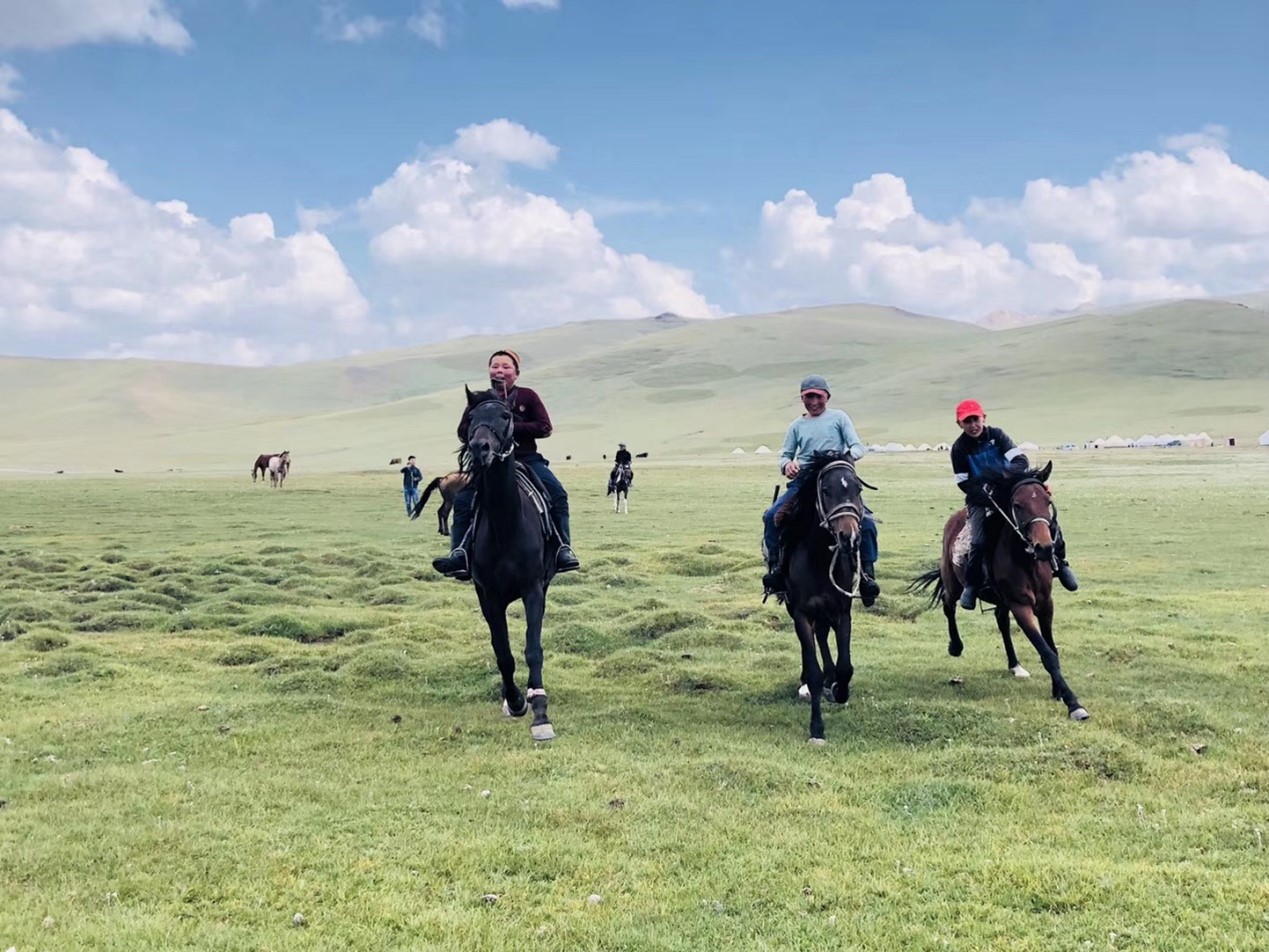 Plain language summary: Complex Regional Distant Interactions between People and Nature ...