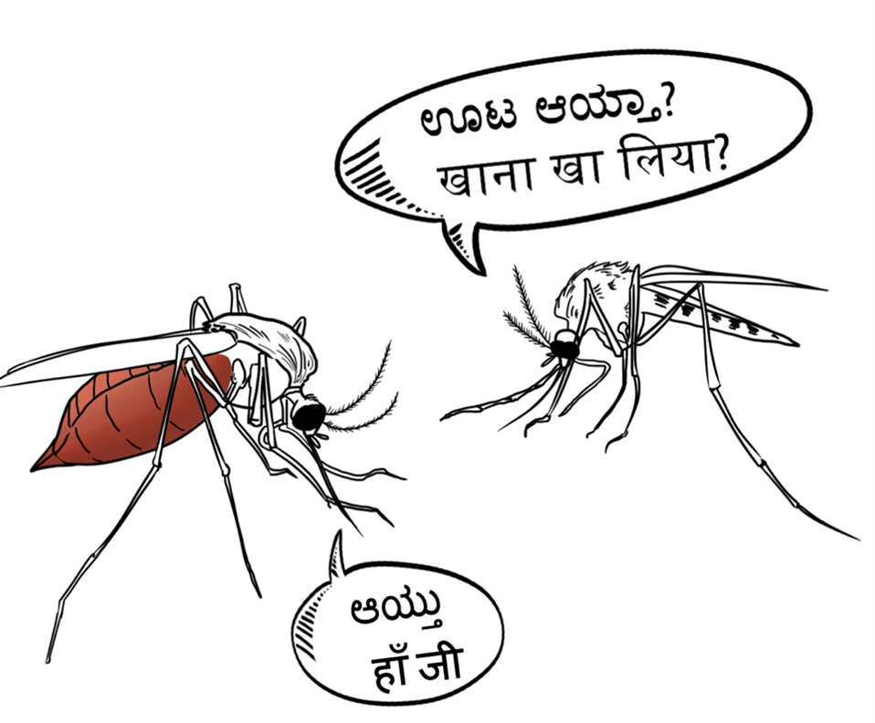 Plain language summary: Combining natural and social sciences ...