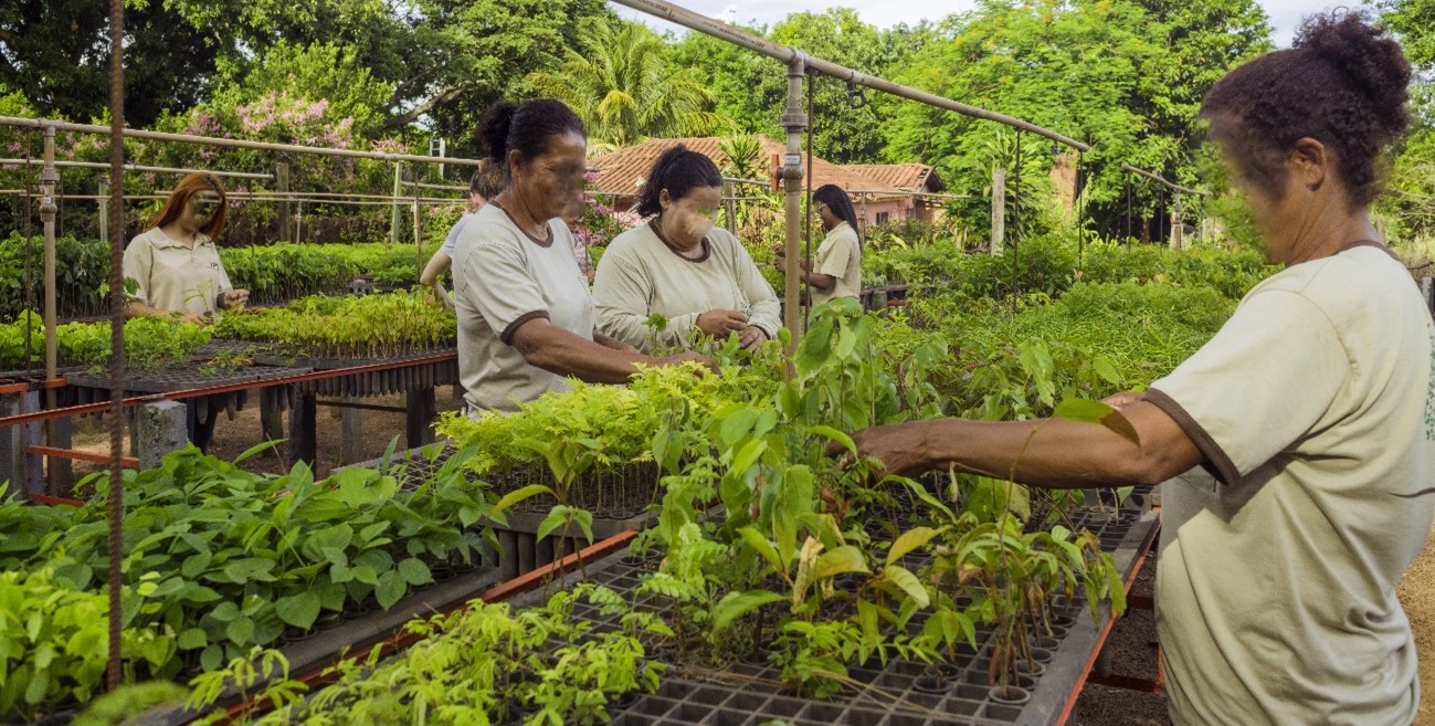 Plain language summary: Ecosystem restoration jobs – Relational Thinking