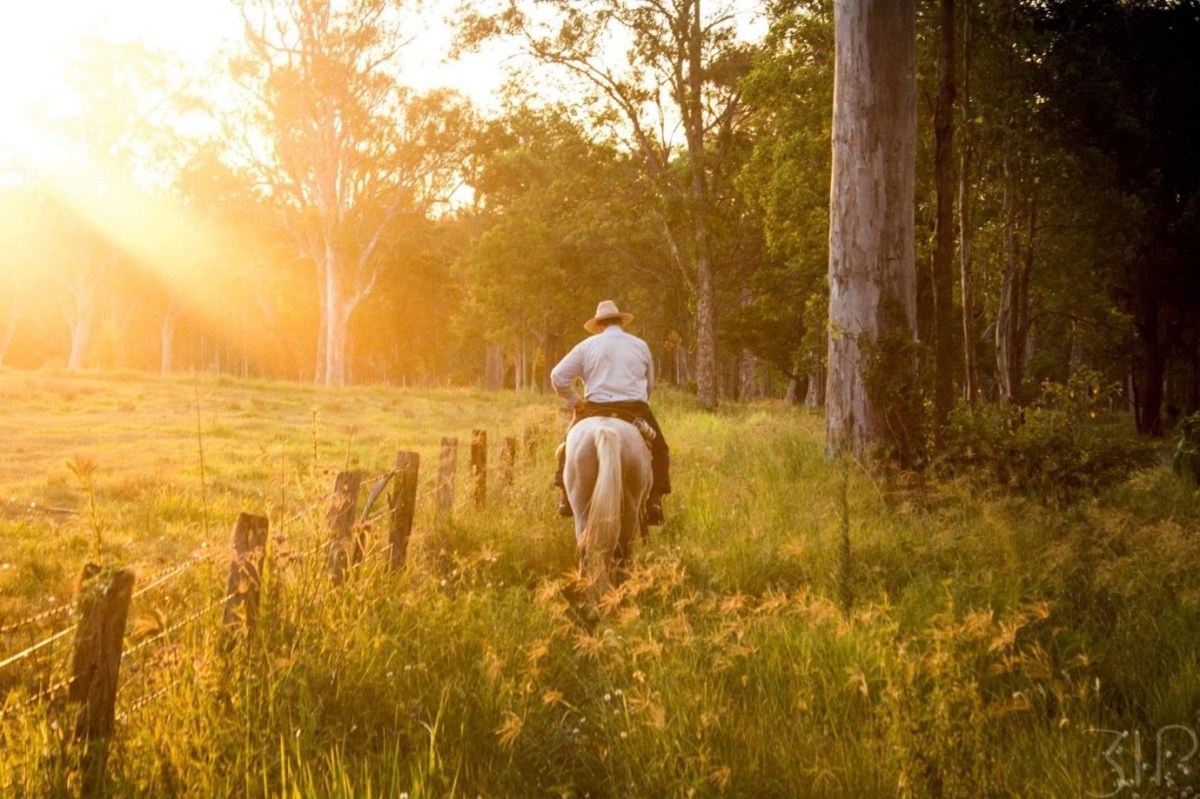 Plain language summary: Unlocking environmental accounting for healthy ...