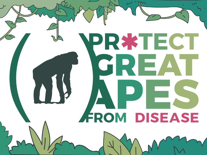 Plain language summary: Understanding visitors at tourist sites to ...