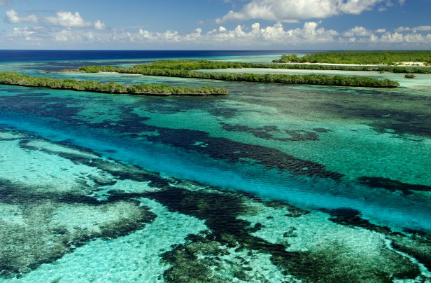 Plain Language Summary Island Ecosystem Managers Identify Main Barriers To Meeting Their
