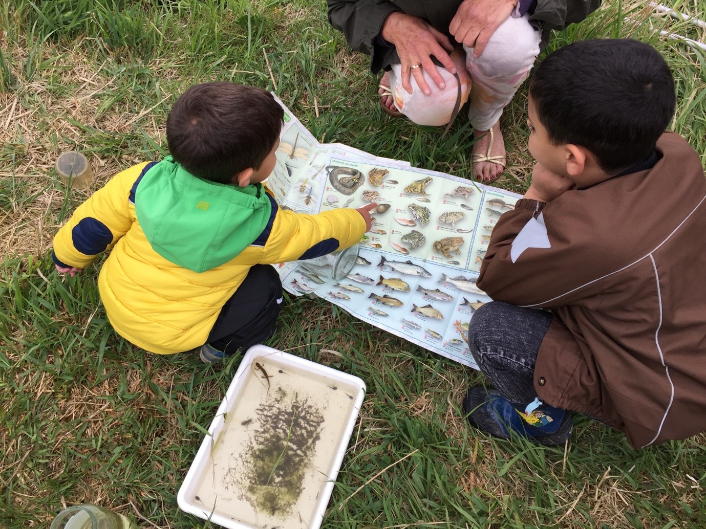 Plain Language Summary: Disconnection from nature: Expanding our ...