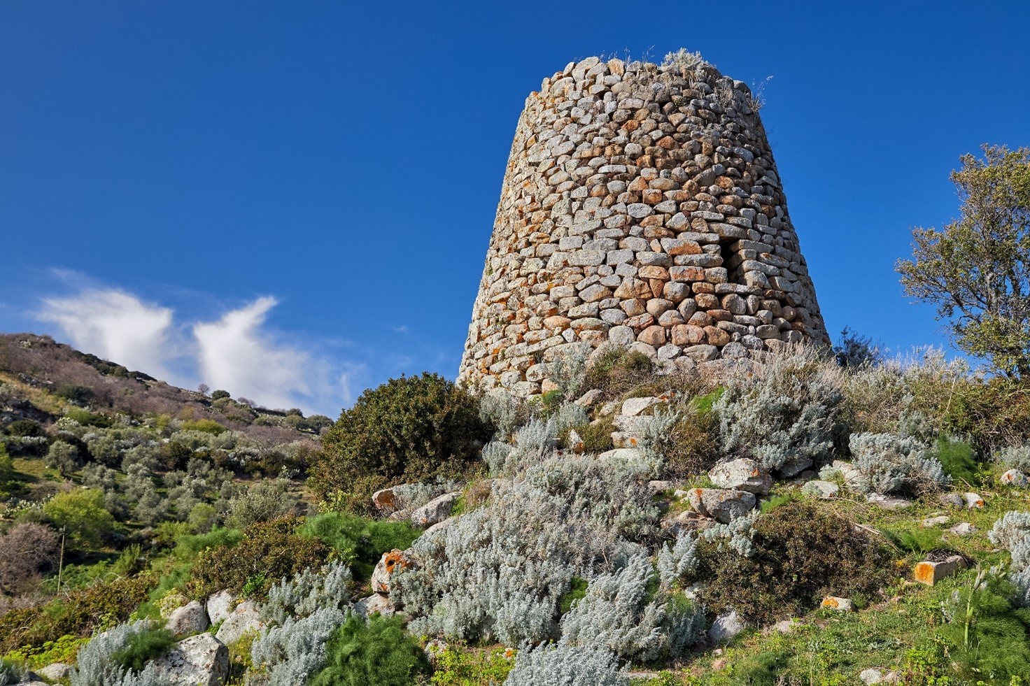 Plain Language Summary: Past, present and future ecosystem services ...