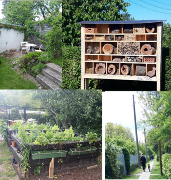 Plain Language Summary: Allotments for all? – Relational Thinking