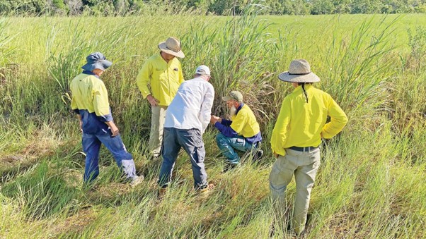 Plain Language Summary: Impact on collaboration on the success of ...