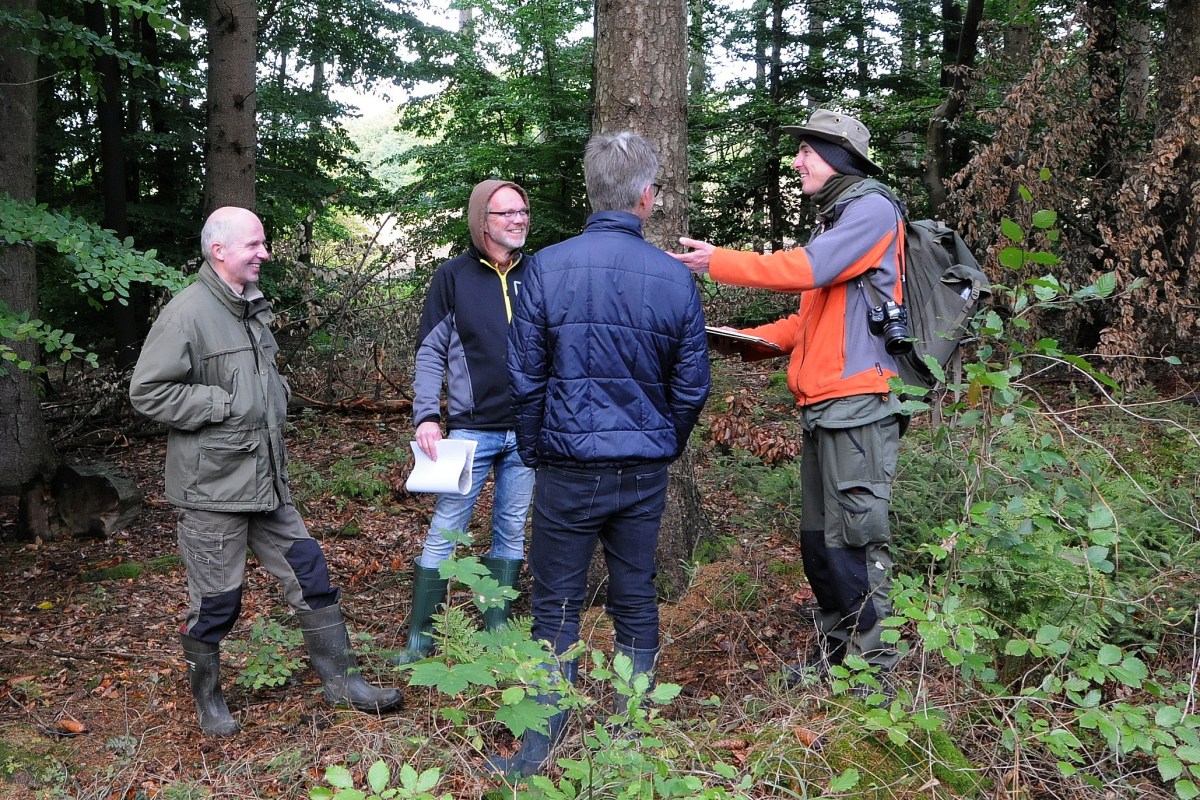Plain Language Summary: Understanding private forest owners with small ...