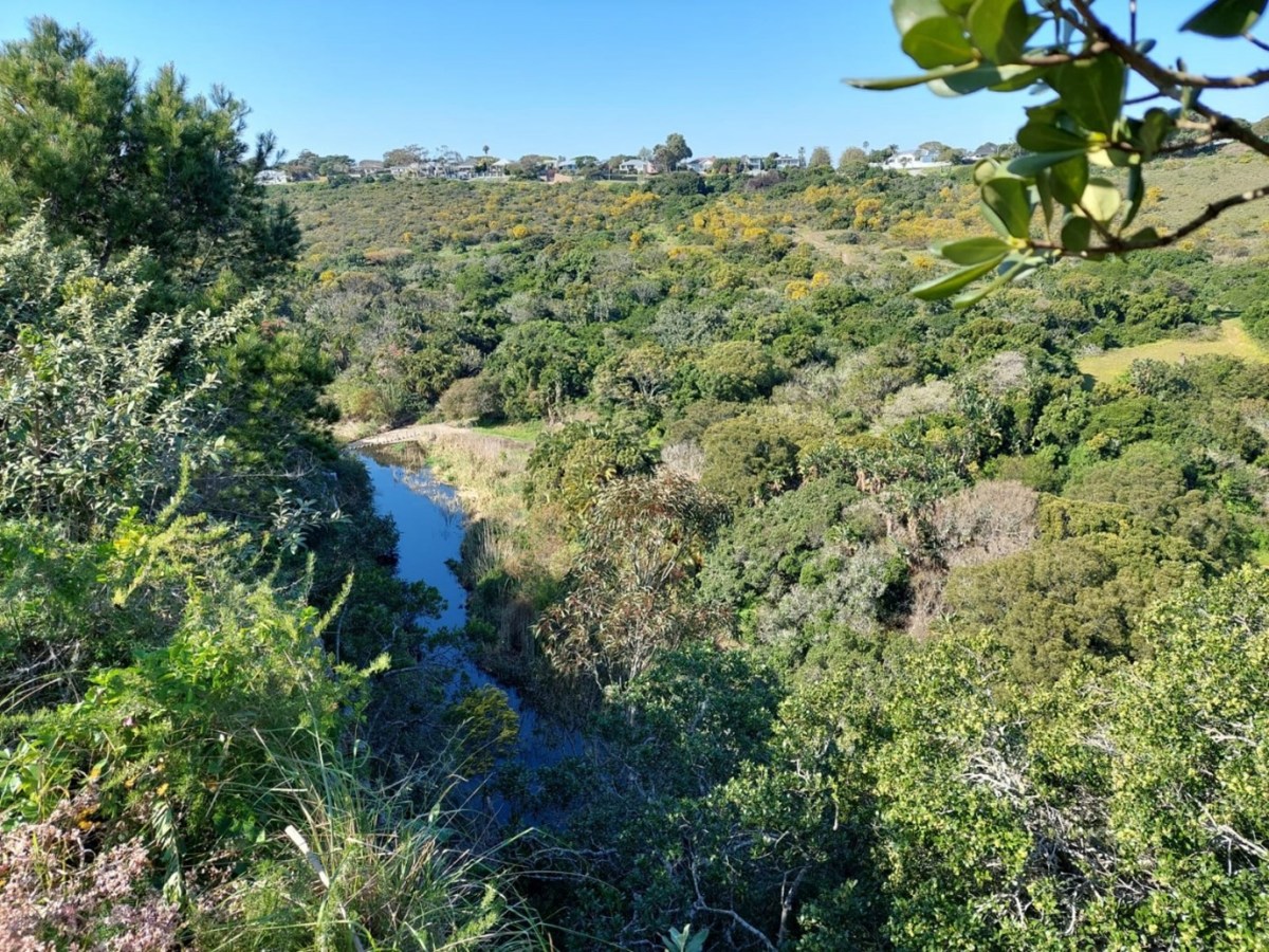 Plain Language Summary: Incorporating benefits of nature in municipal natural open spaces ...