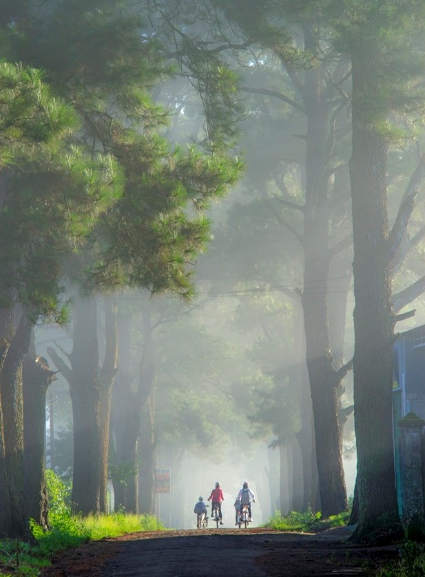 Plain Language Summary: Diverse nature experiences can help cultivate ...