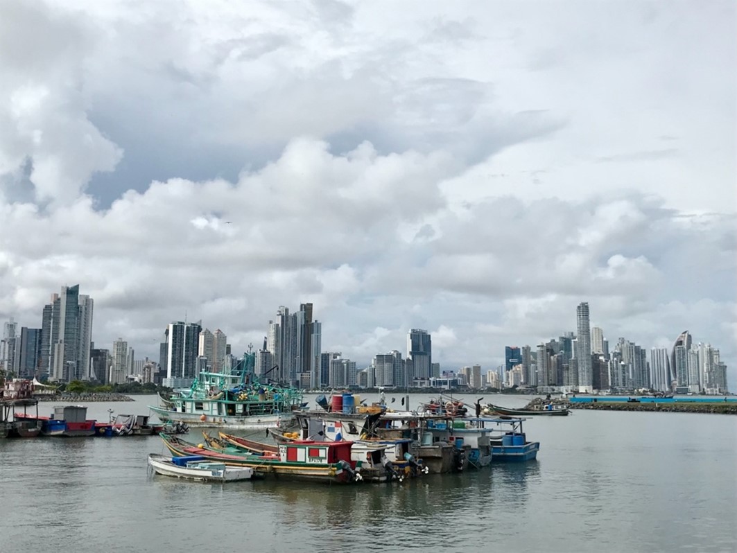 Plain Language Summary: How far have we come in making the popular ...