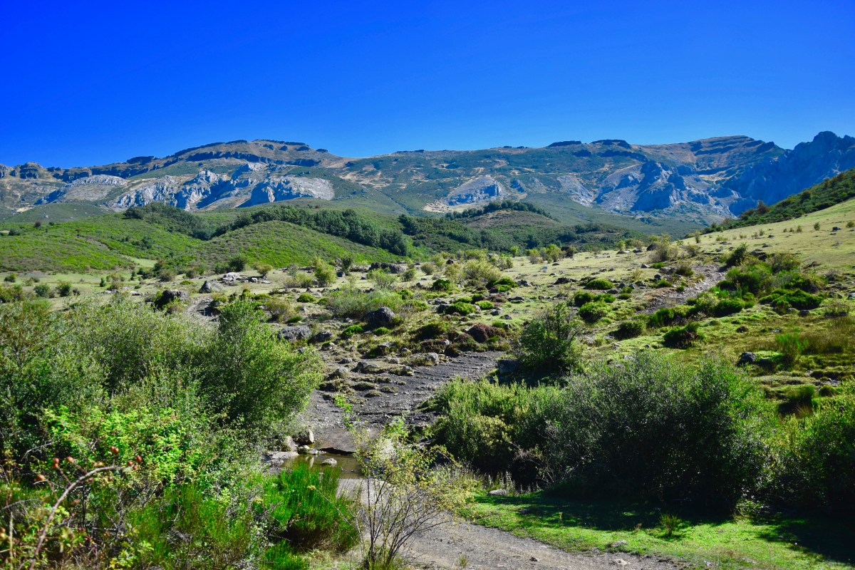 Plain Language Summary: Ecological knowledge is needed for the ...