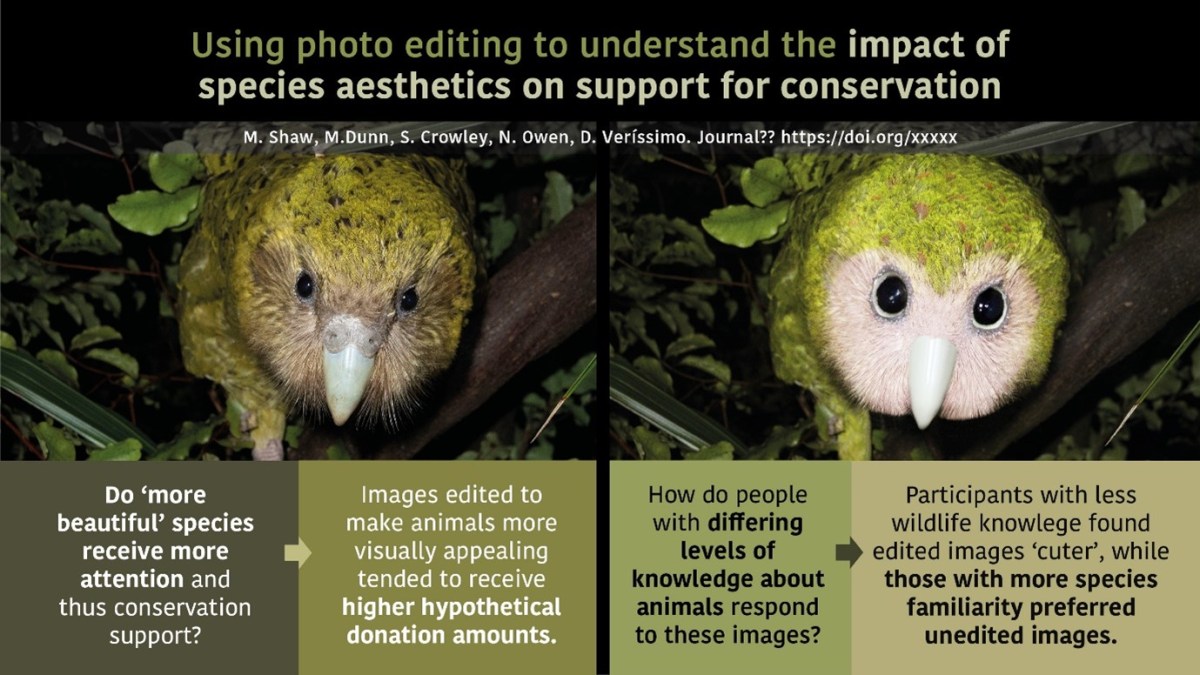 Plain Language Summary: Beauty Bias in Conservation: The Impact of ...