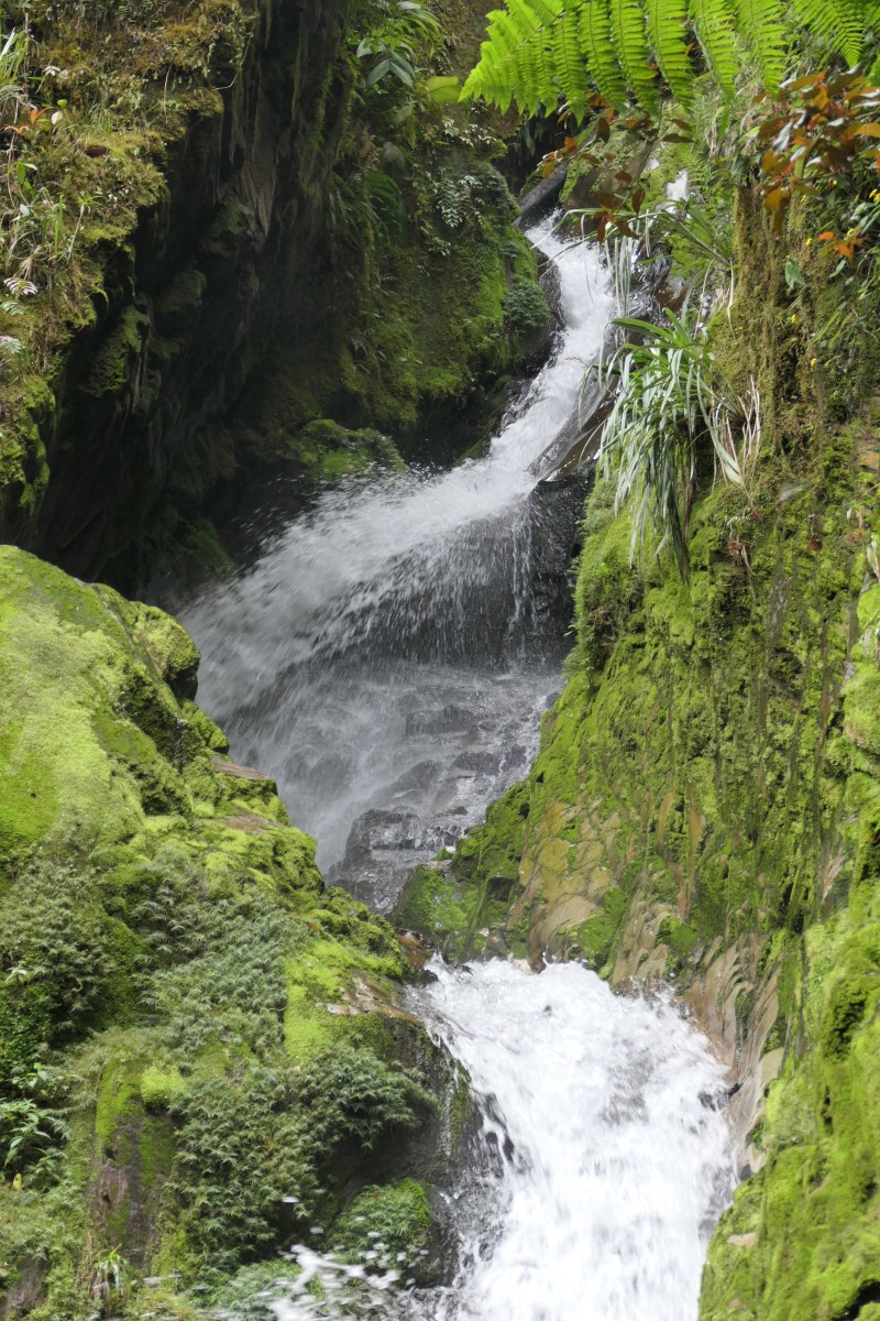 Plain Language Summary: The Conflict between Rights of Nature and Mining in Ecuador ...