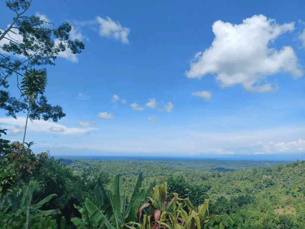 Plain Language Summary Networking Ecosystem Services To Benefit People Relational Thinking