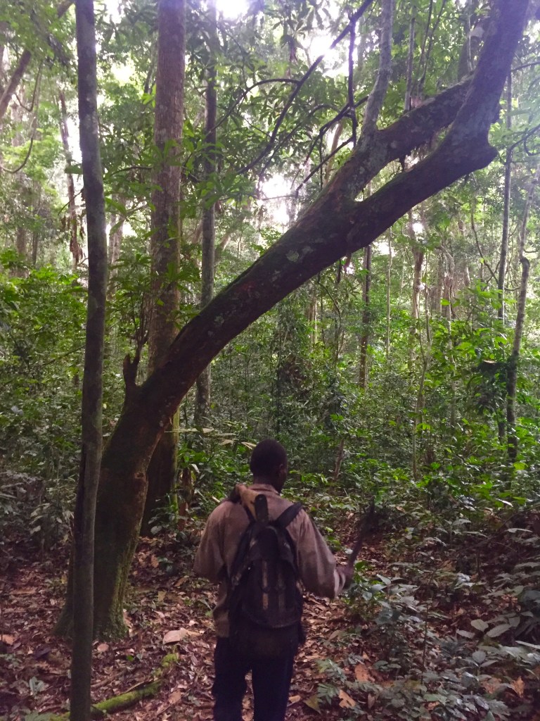 Rachel Carson Prize 2023 shortlist: Graden Froese. – Relational Thinking