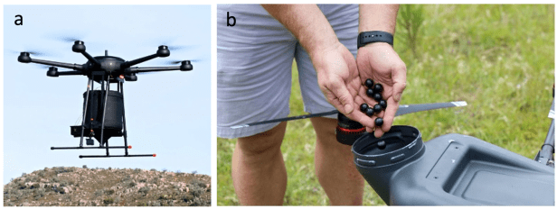 Plain Language Summary: Seed-dropping drones: A new tool for forest ...