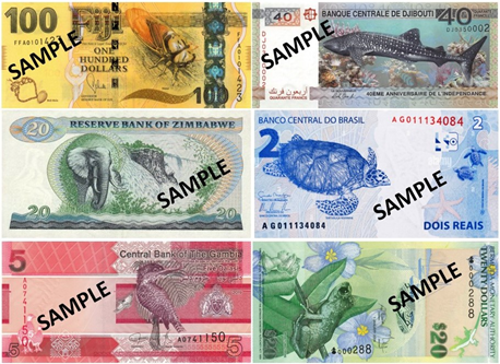 Plain Language Summary: From cash to conservation: Which wildlife ...