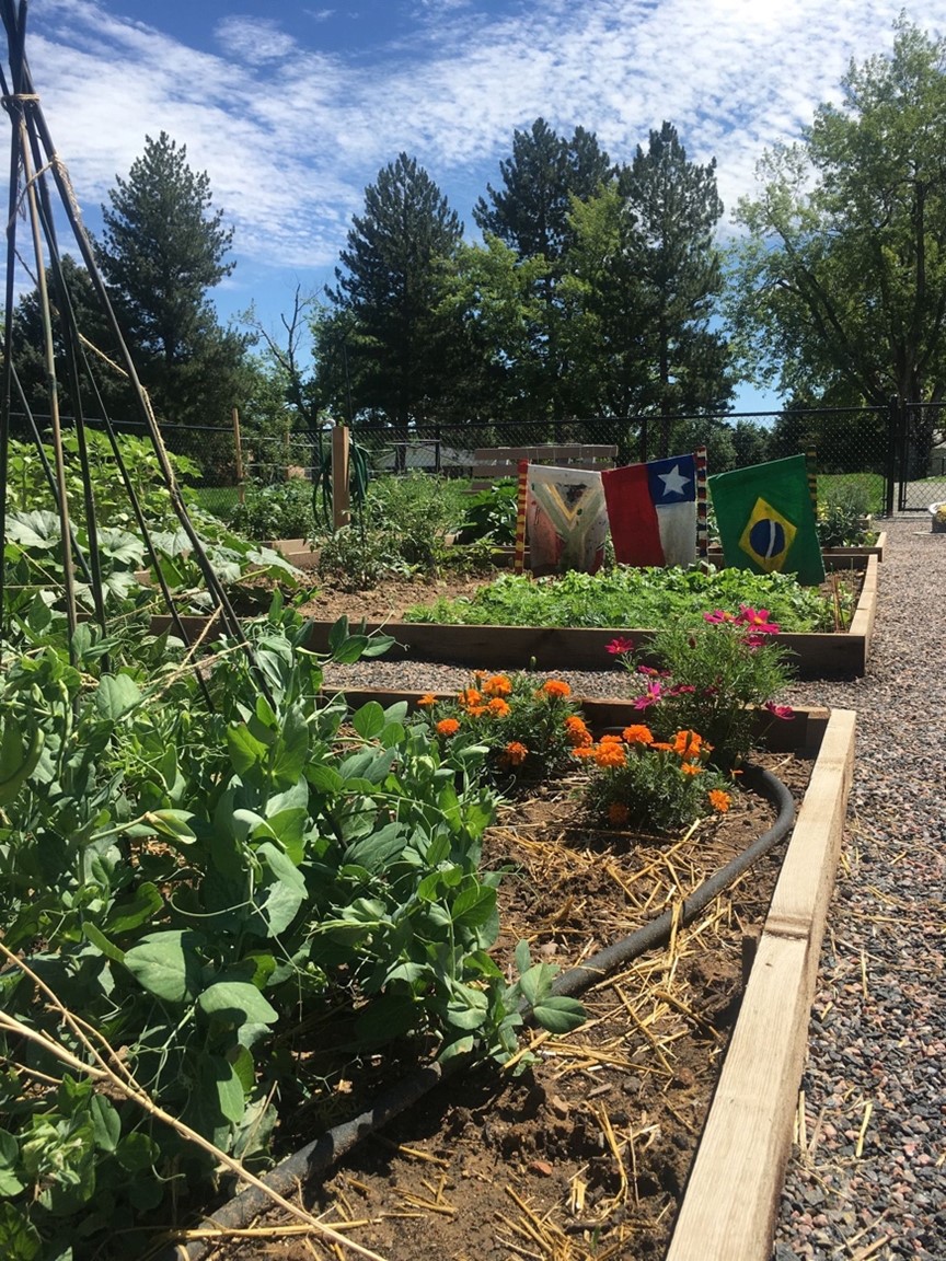 Plain Language Summary: Caring for their plants, connecting to nature ...