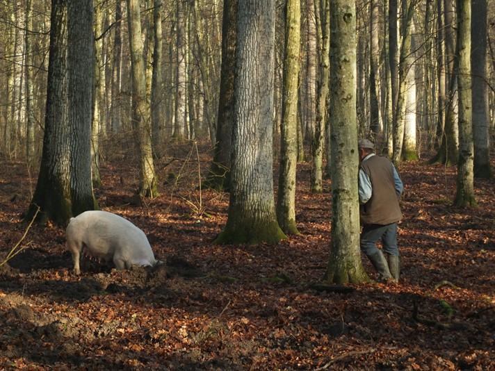 Plain Language Summary: Knowledge co-production between traditional and ...