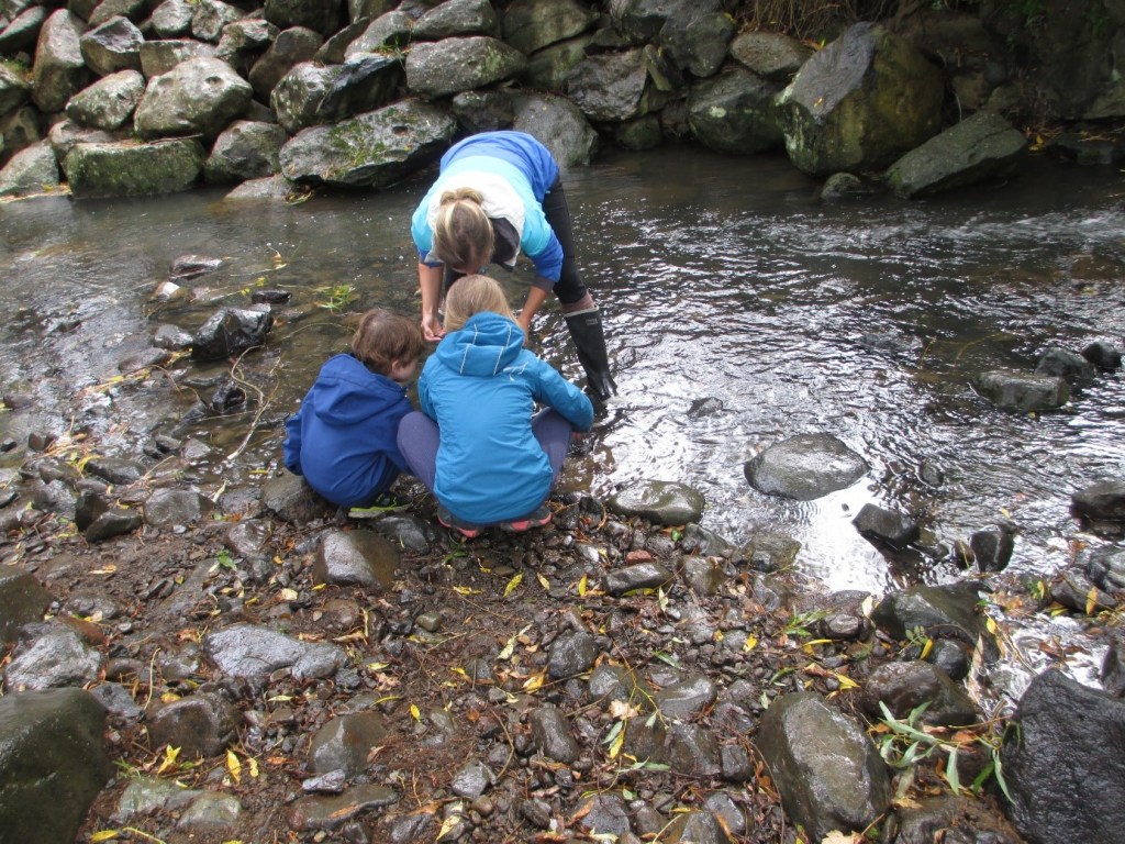 Plain Language Summary: How can we strengthen our relationship with nature? – Relational Thinking