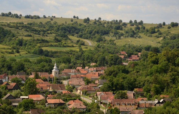 Plain Language Summary: Oral history methods can reveal drivers of landscape transformation ...