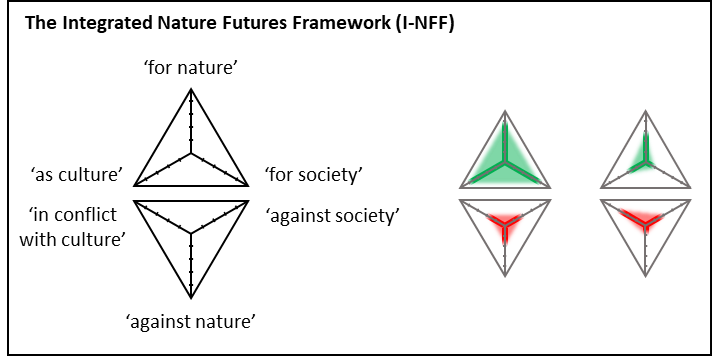 Plain Language Summary: An accessible framework to make visible what people value positively as ...