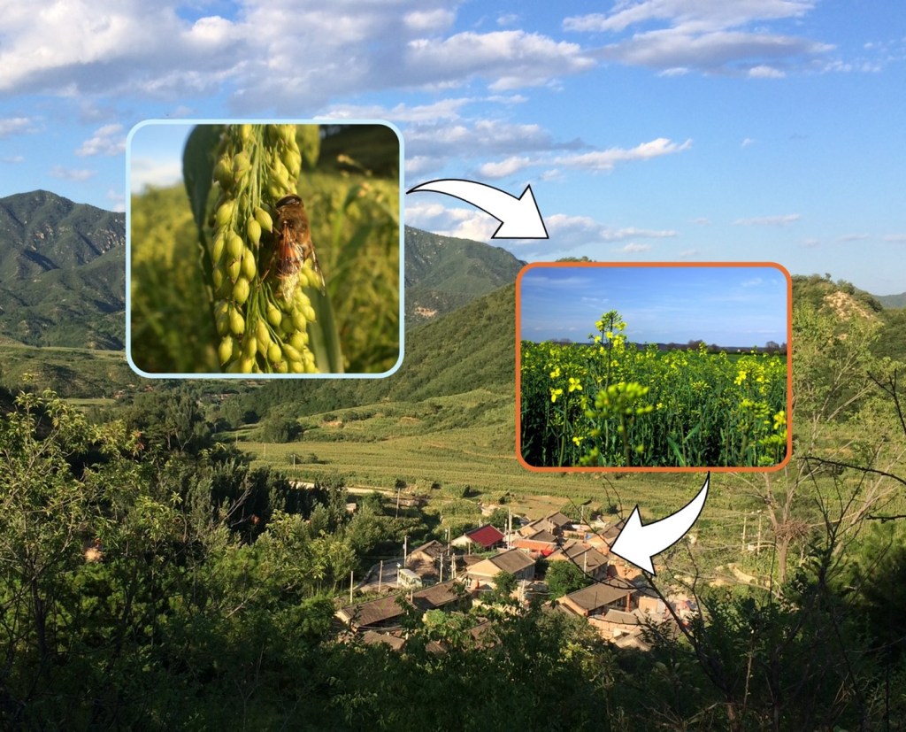 Plain Language Summary: Where do people benefit from nature? Examples from Canada’s agricultural ...