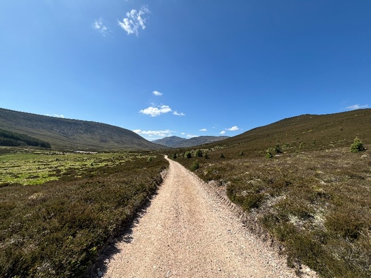 Plain Language Summary Autistic Adults Definitions And Experiences Of Nature Connection