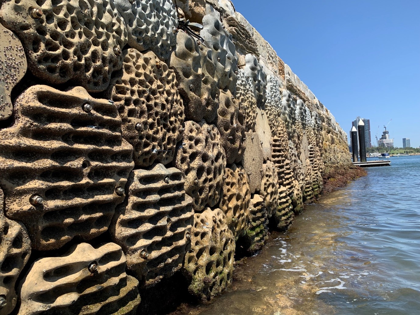 Plain Language Summary: Stakeholders support marine eco-engineering ...