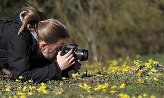 Plain Language Summary: Behind the lenses: Biases in the contribution ...