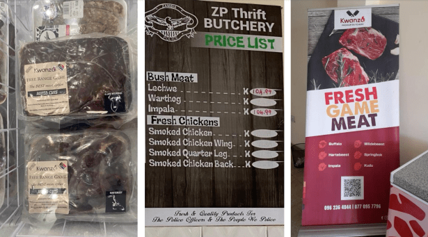 Plain Language Summary: What shapes participation and benefits in the ...