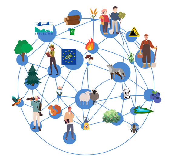 Plain language summary | Exploring human-nature connections ...