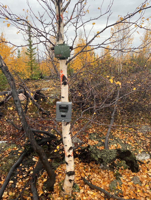 Plain language summary: How do we take care of data in collaborative ...