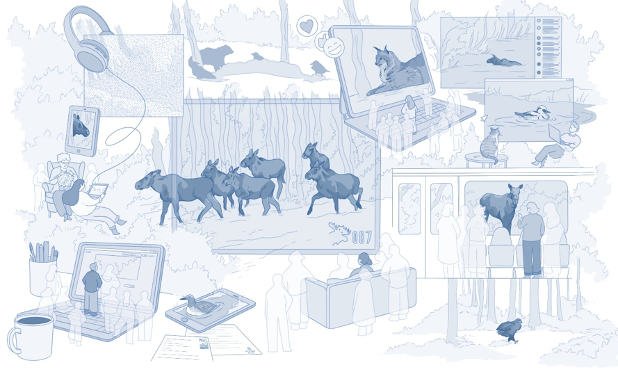 Plain language summary: How Watching Moose on TV Can Help Us (Re ...