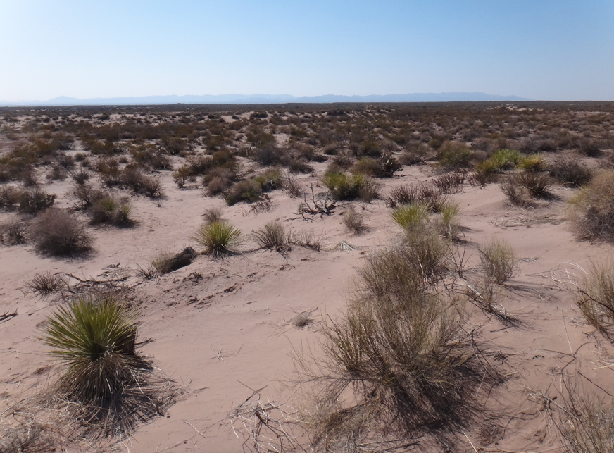 Plain language summary | Talking as friends: weaving ranchers’ and ...