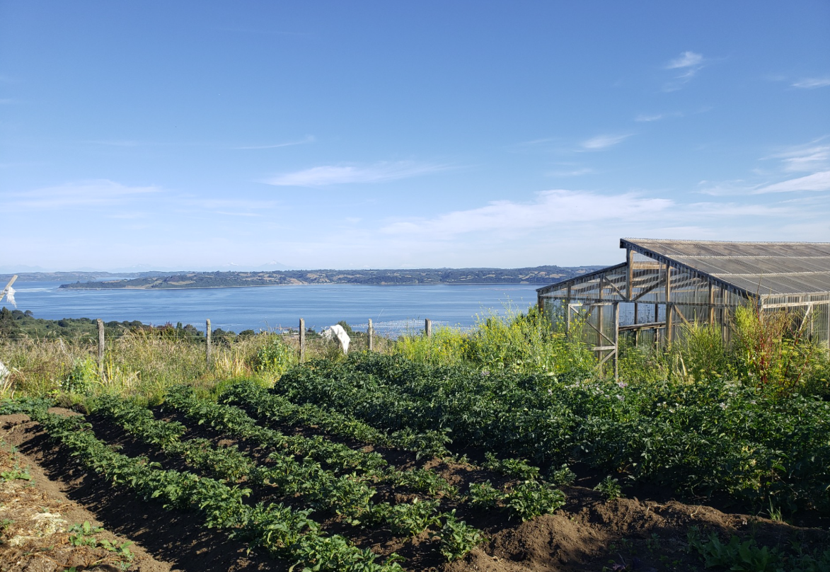 Outreach video – Livelihood resilience: the role of social-ecological ...