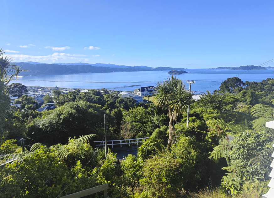 Plain language summary: A connection to nature can boost the wellbeing of both urban and rural ...