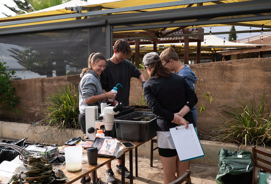 Plain language summary – Restoring ocean life by empowering communities ...