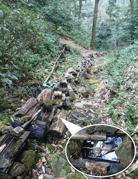 Plain language summary: ‘Bird-basin’ hunting of the Yao people in China ...